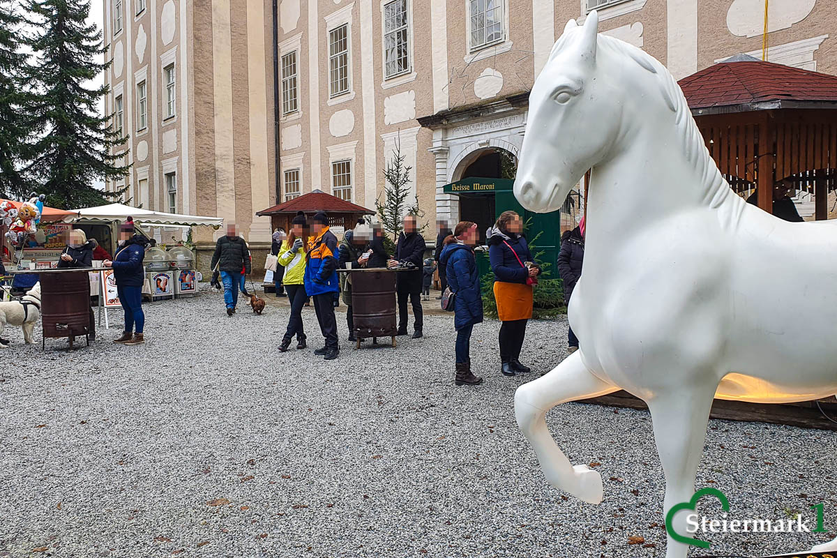 Adventzauber im Lipizzanergestüt Piber